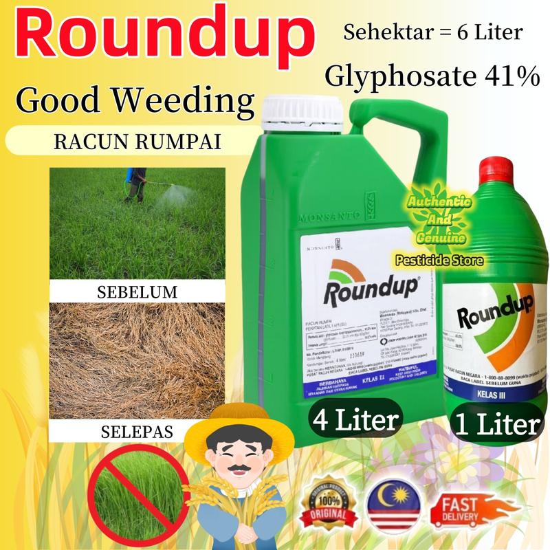 1L & 4L Roundup Monsanto Glyphosate 41% – Racun Rumpai Palin - TikTok ...