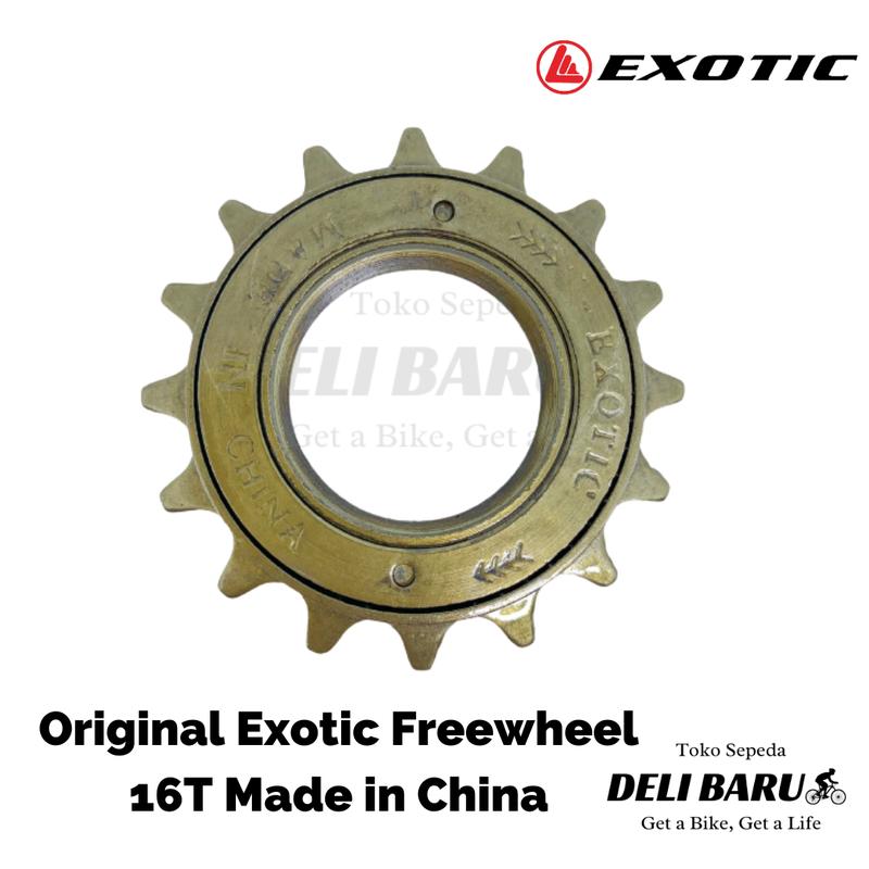 Exotic Freewheel gir belakang 16T sepeda anak - Shop | Tokopedia