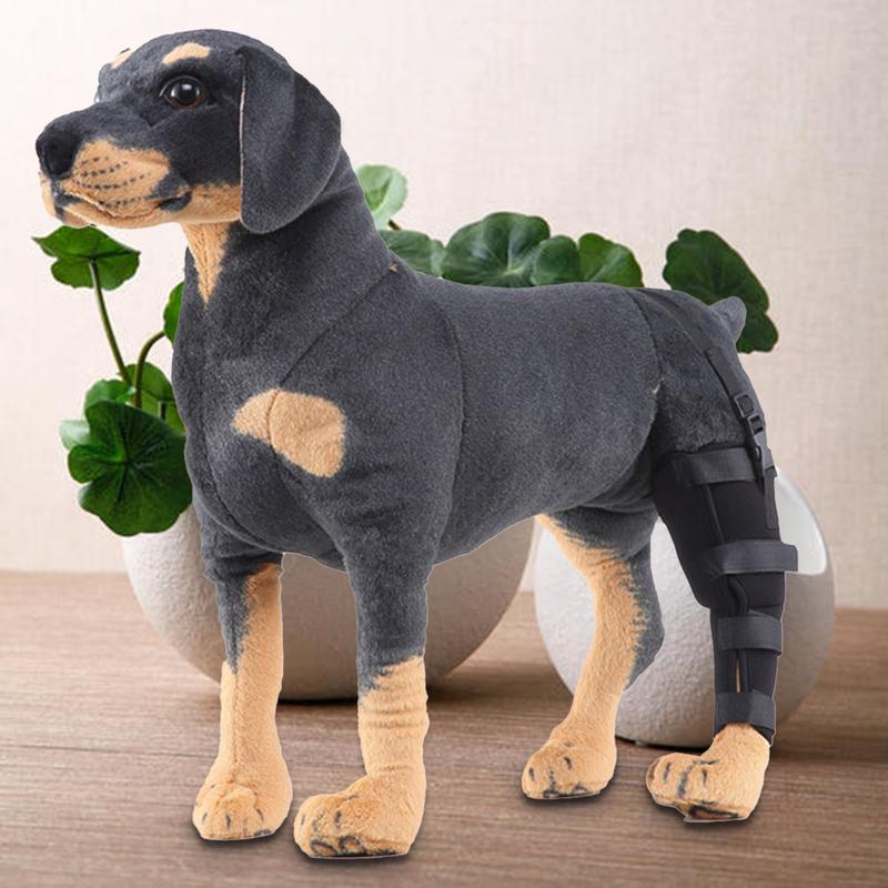 [TI] 1Pc Pet Dog Rear Legs Brace Knee Joint Support Wraps Wounds ...