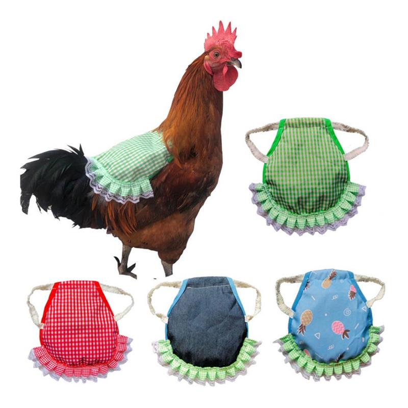 amoteda- Hen Feather Preservation Waterproof Hen Saddle Aprons - TikTok ...