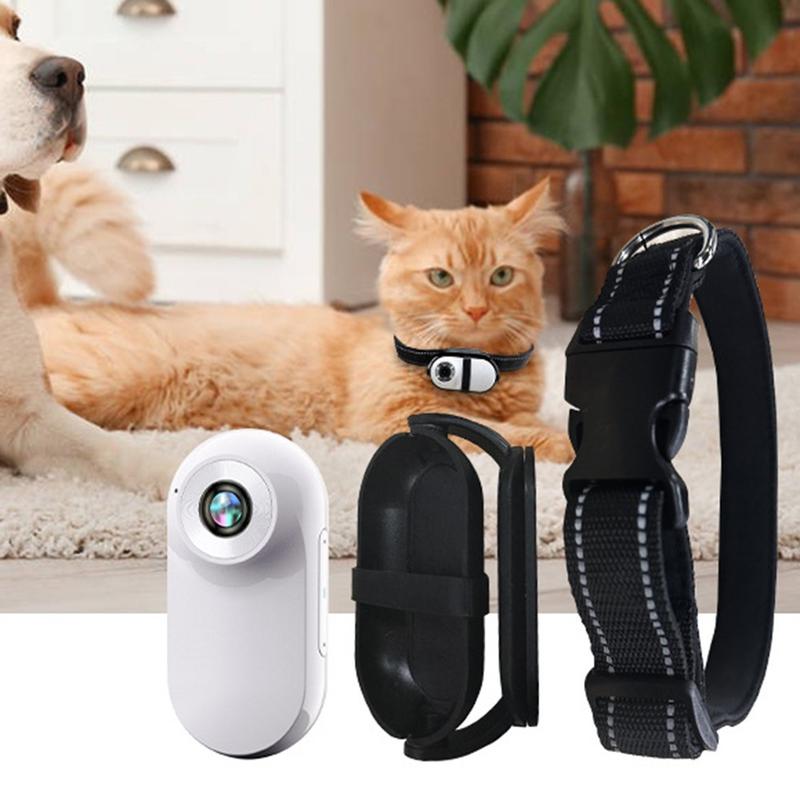 Lightweight HD 1080p Pet Camera Collar: - TikTok Shop Singapore