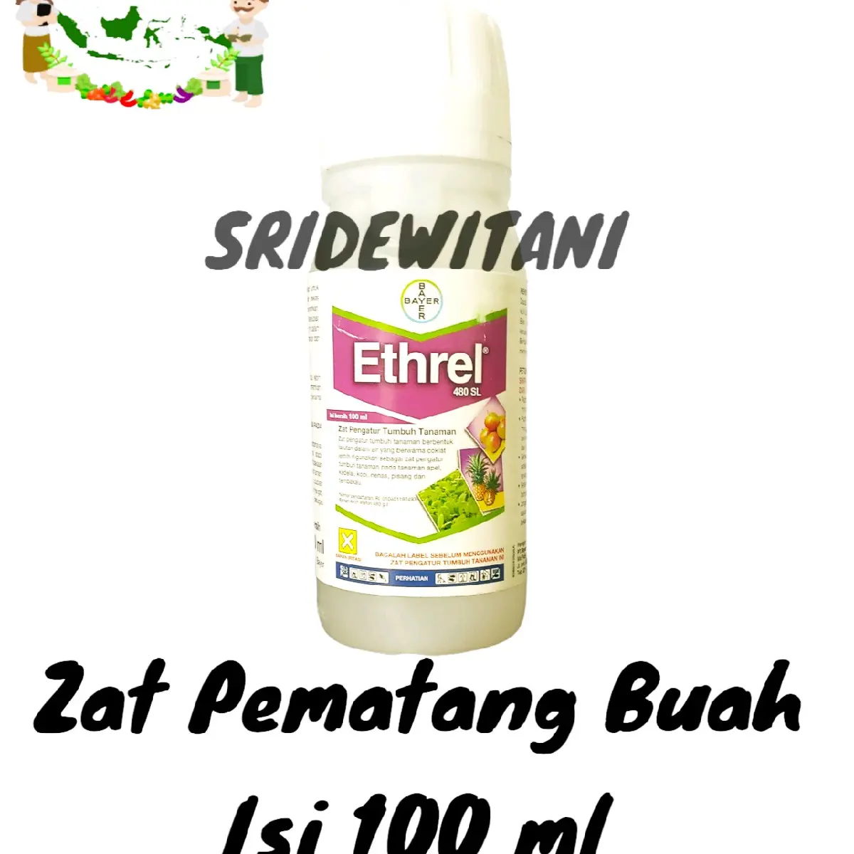 Ethrel 480 sl isi 100 ml Obat Pematang Buah Buahan Ramah Lingkungan ...