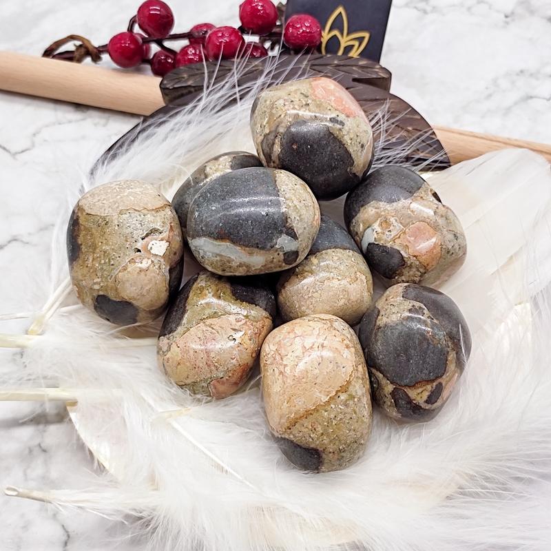 Septarian Atlantis Indonesian Stone (Concretion Stone) Tumbled - TikTok ...