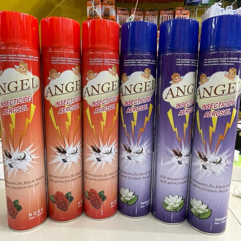 ANGEL INSECTICIDES PEST/ COCKROACH / ANY KIND OF INSECT CONTROL ...