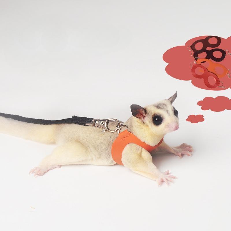 Small Pet Chest Harness Hamster Hedgehog Leash Anti-Bite Pulling Force ...