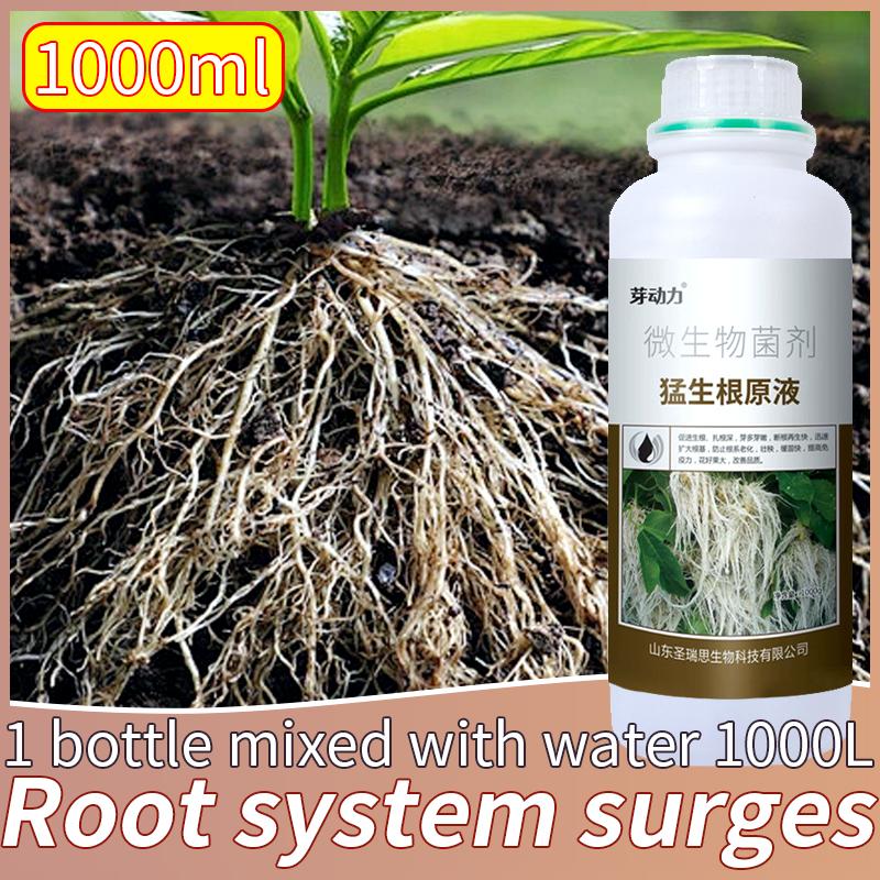 Root system surges ultra rooting 1000g rooting hormones for plant ...
