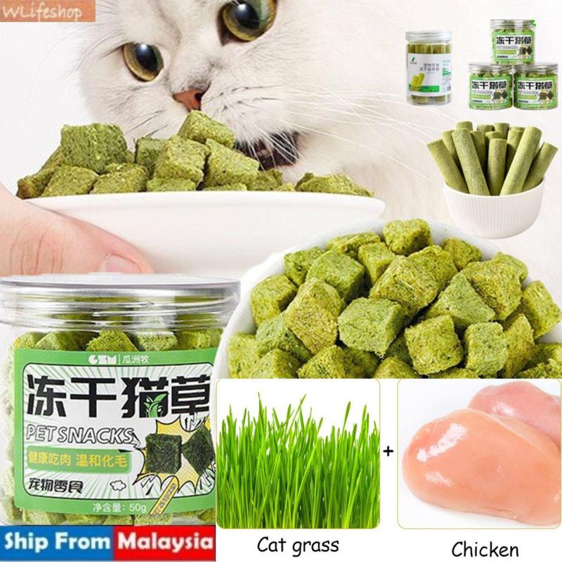 Rumput Kucing Cat Grass Cube Sticks Granules Freeze Dried Ca - TikTok ...