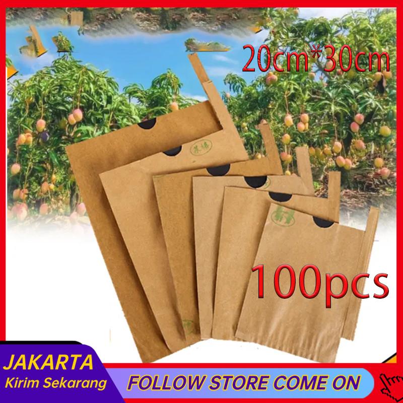 100pcs Pembungkus buah/Fruit Cover Paket Net Jaring Pembungkus Buah ...