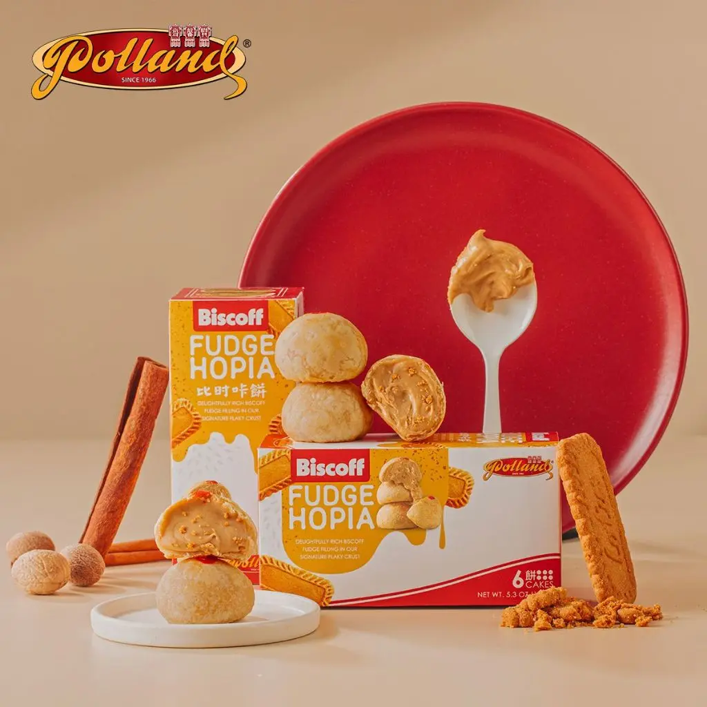 Polland Biscoff Fudge 6pcs 30grams per piece BITE SIZE - TikTok Shop ...