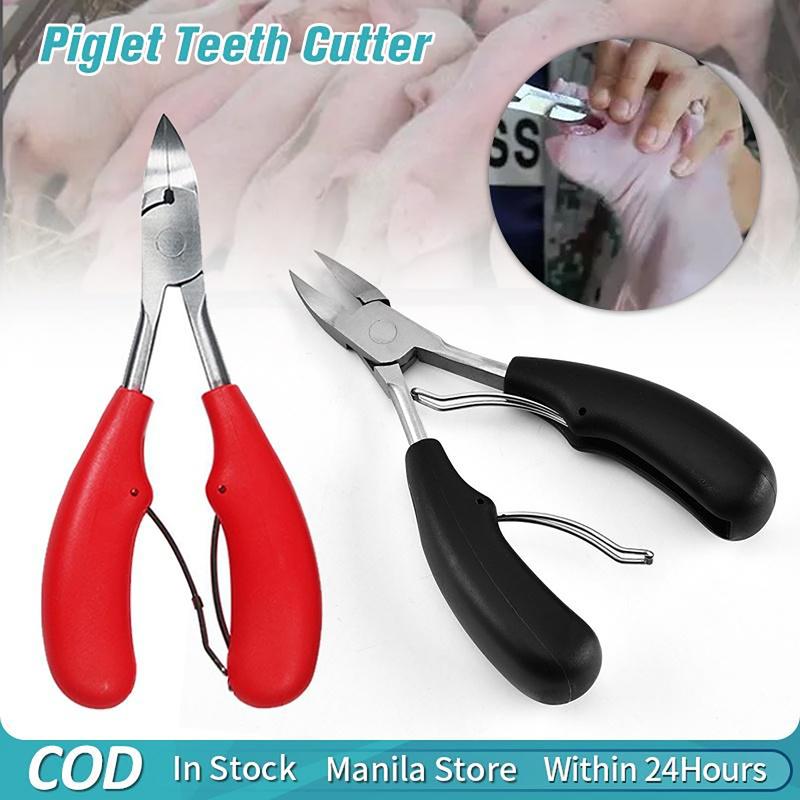 Stainless Steel Pig Tooth Nipper Piglet Teeth Cutter Animal Husbandry ...