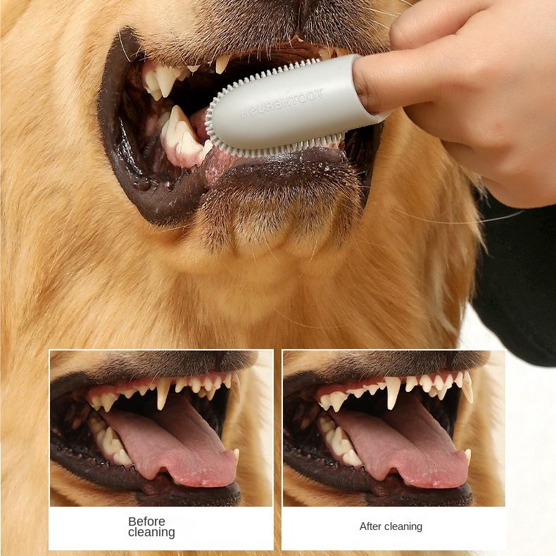 Pet Toothbrush Finger Toothbrush with Handle Soft Glue Teeth - TikTok ...