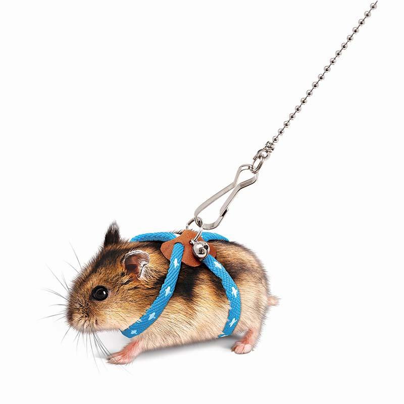 Hamster traction rope anti-bite, walking mouse rope, mouse and - TikTok ...