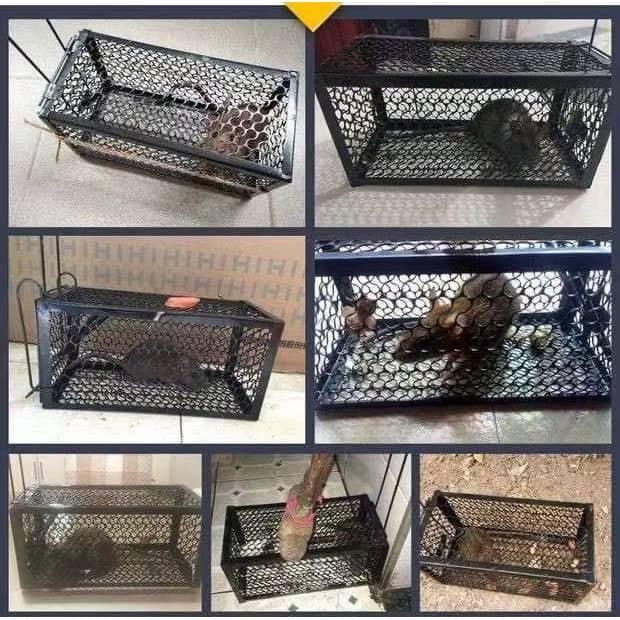 Large Rat Cage Rodent Animal Control Catch Bait Mouse Trap / - TikTok ...