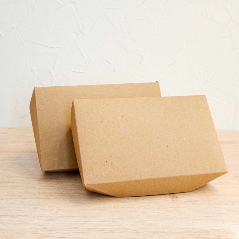 Box lunch box kotak snack kotak nasi all size - Shop | Tokopedia