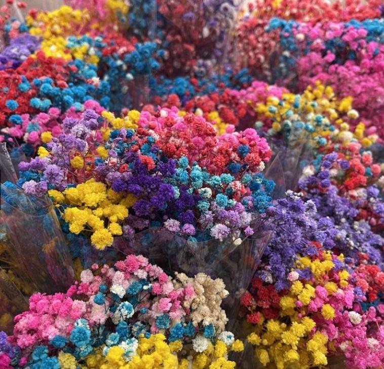 BB Dried Flower Gypsophila | Dried Flower | Bouquet | Bunga Kering ...