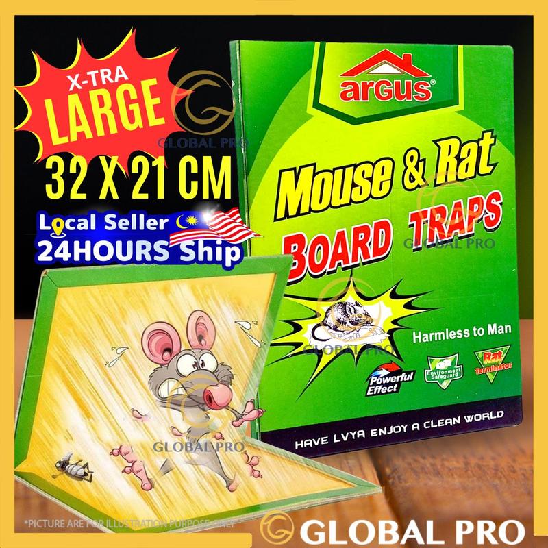 LARGE BOARD Rat Glue Board Mouse Trap Sticky Boards Indoor and - TikTok ...