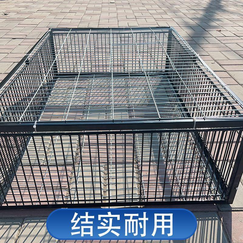 Pigeon cage, bird cage, sky falling cage, outdoor home, roof - TikTok ...