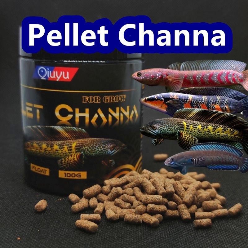 Qiuyu High Protein Channa Pellet / Channa Red Plus Boost Growth ...