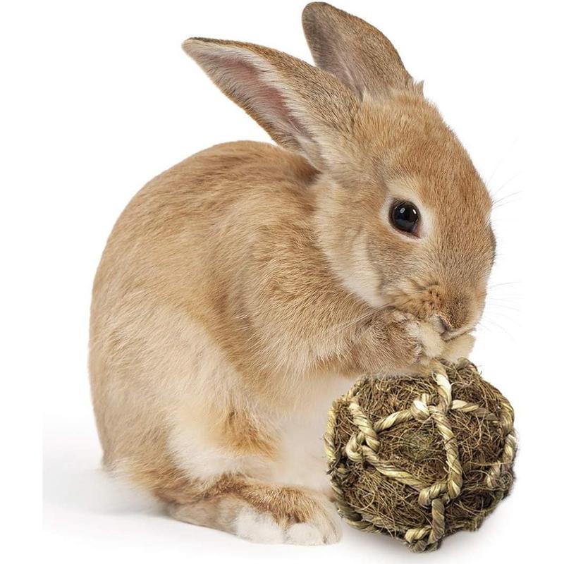 SunGrow Dental Floss Fiber Ball for Rabbit, Cat, Dog, Cleans Teeth to ...