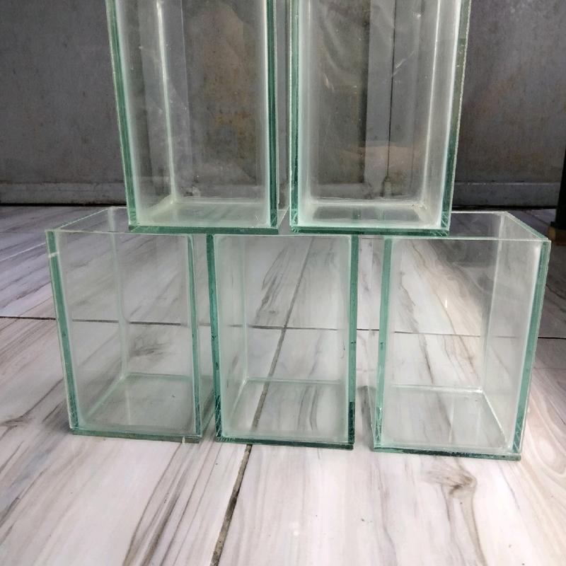 soliter cupang-aquarium mini kaca 5milli ukuran 10*10*15 - Shop | Tokopedia