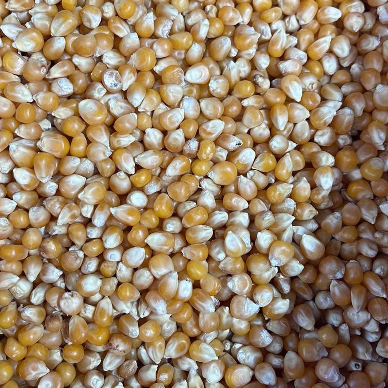 PopCorn 250g,500,1kil0 Pop Corn - TikTok Shop Philippines