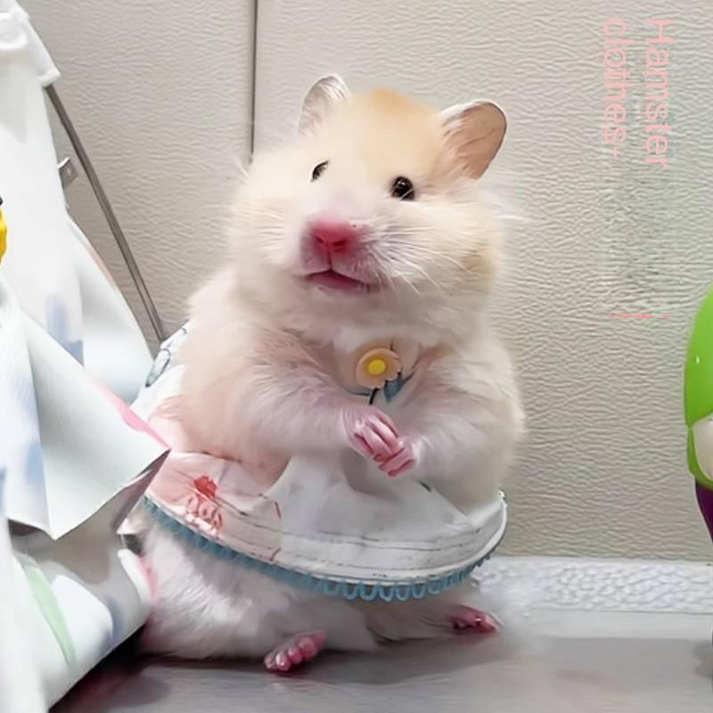Hamster Clothes Four Seasons Universal Clothing Skirt Minipet Sweater ...