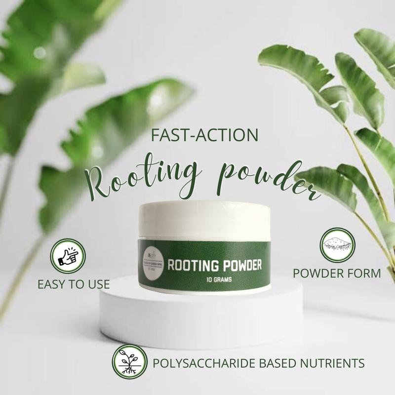 ROOTING POWDER 10g Fast Action and Easy to use - TikTok Shop Philippines