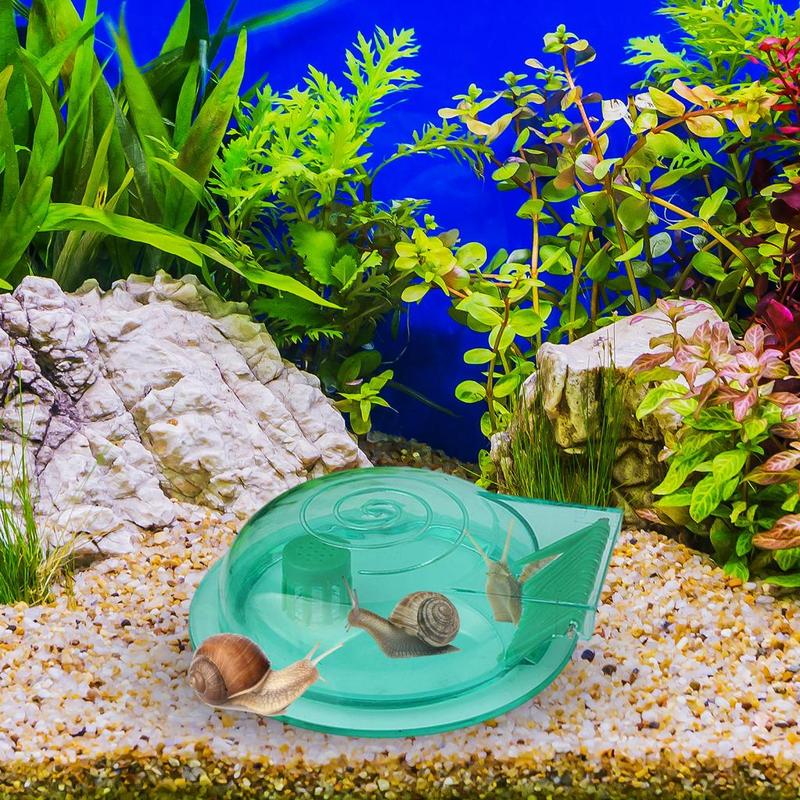 Daiditi- Snail Trap for Aquarium Aquarium Snail Control Transparent ...