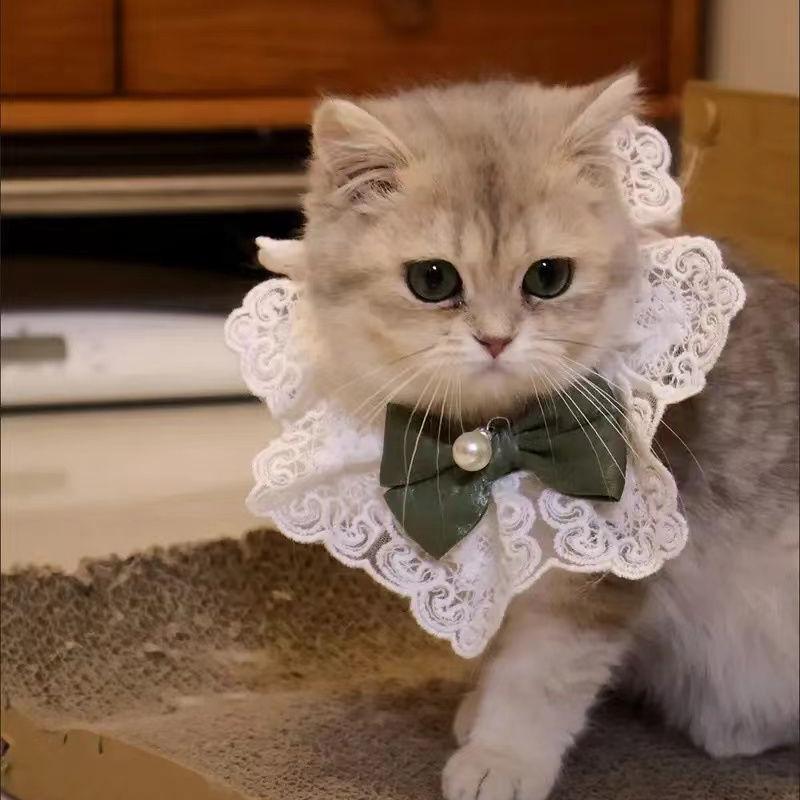 Cat Scarf Pet Decorations Collar Bell Bow Muppet Bow Tie Lac - TikTok ...