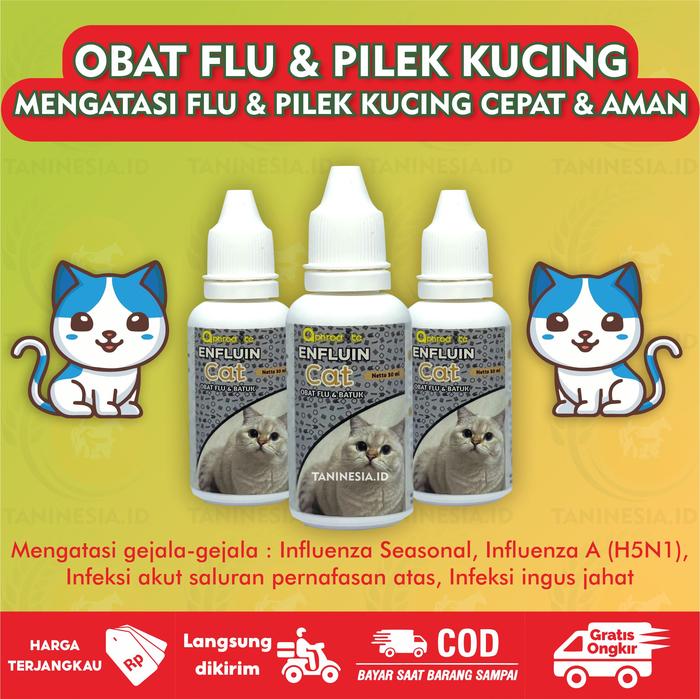 Promo Obat Flu dan Pilek Kucing Terbaik Anti Bersin dan Ingusan Paling ...