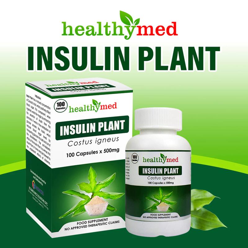 Healthymed Insulin Plant Capsule natural organic original (100 - TikTok ...