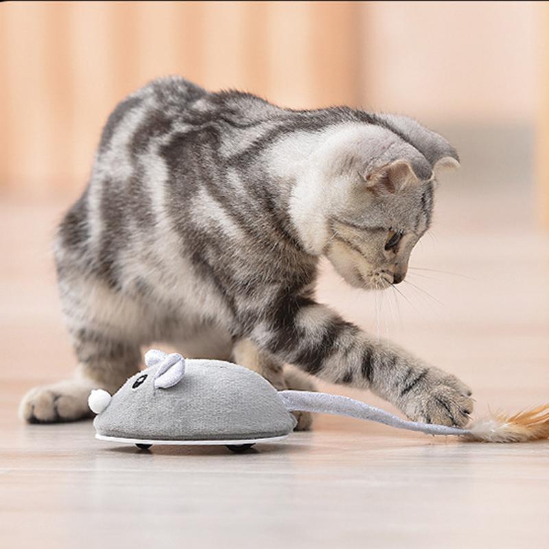Automatic Cat Toy, USB Charging Safe and Realistic Interactive Cat ...