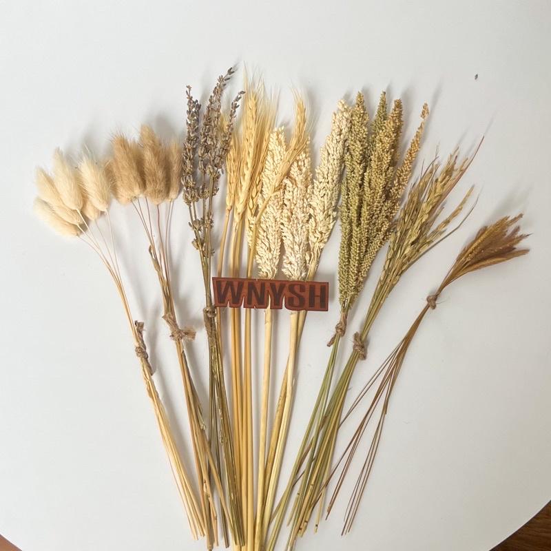 All dried flower, bunga kering, bunga ilalang, bunga edelweis, - Shop ...
