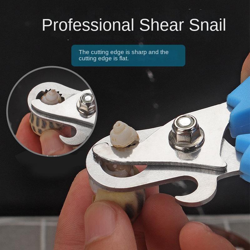 Snail Tail Clippers Tool Heavy Stainless Steel Shellfish Scissors ...