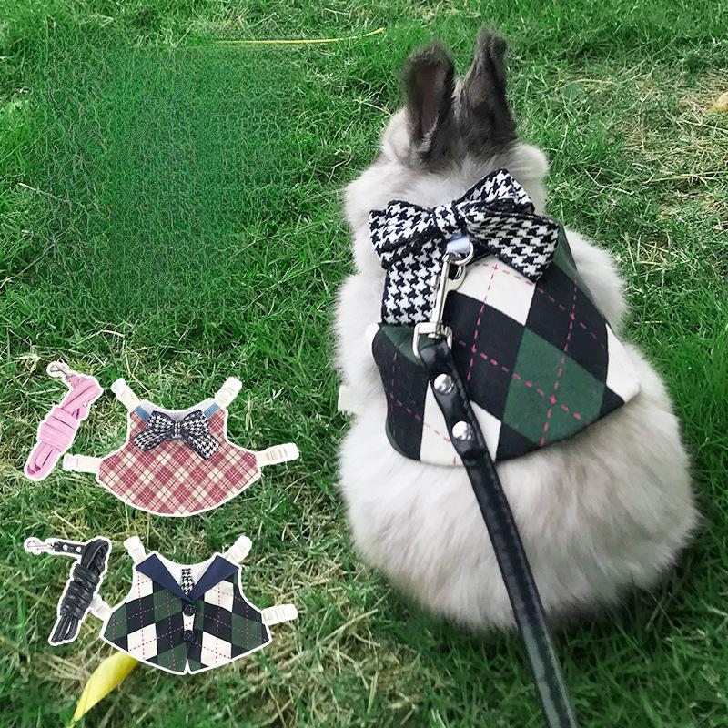 Rabbit Hand Holding Rope Rabbit Outing Rope Preppy Style Dwarf - TikTok ...