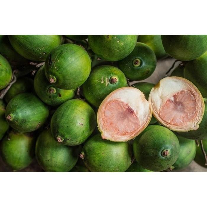 Ready stok BUAH PINANG MUDA TUA/JAMBE HERBAL - muda 1kg kenzi herbal ...