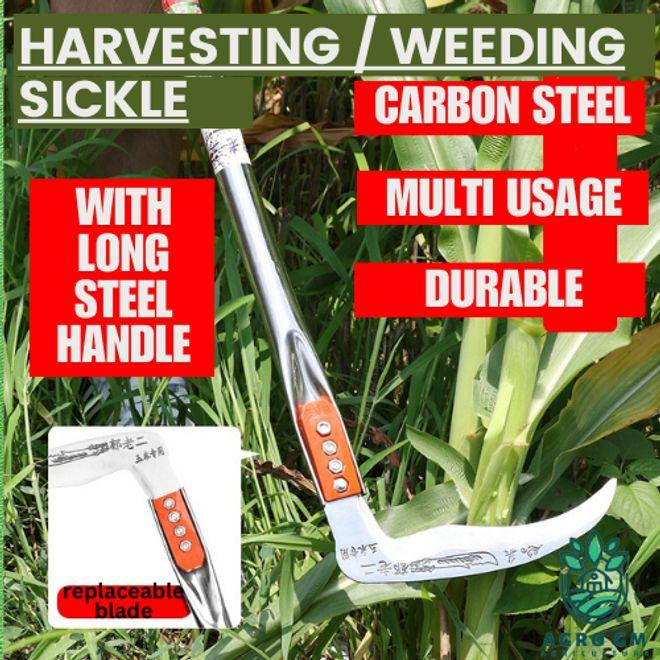 [READY STOCK] Corn Rice Harvesting Long Steel Handle Grass Weeding ...