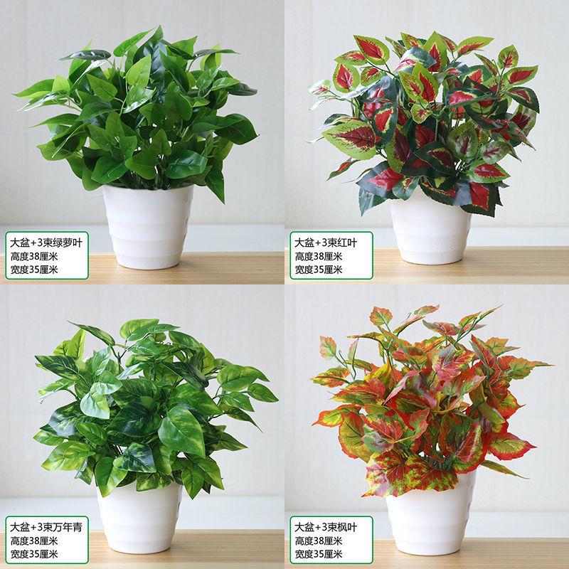 Hiasan Bunga Tiruan, Tumbuhan Dill Hijau Emulasi, Tawaran Istimewa ...