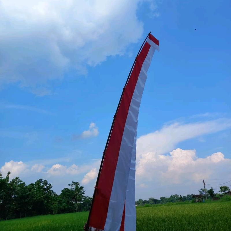 BENDERA UMBUL UMBUL MERAH PUTIH LAYUR 5 METER Kain Peles Satin - Shop ...
