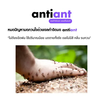 เจลกำจัดมด AntiAnt แอนตี้แอนท์ TikTok Analytics Profile by EchoTik
