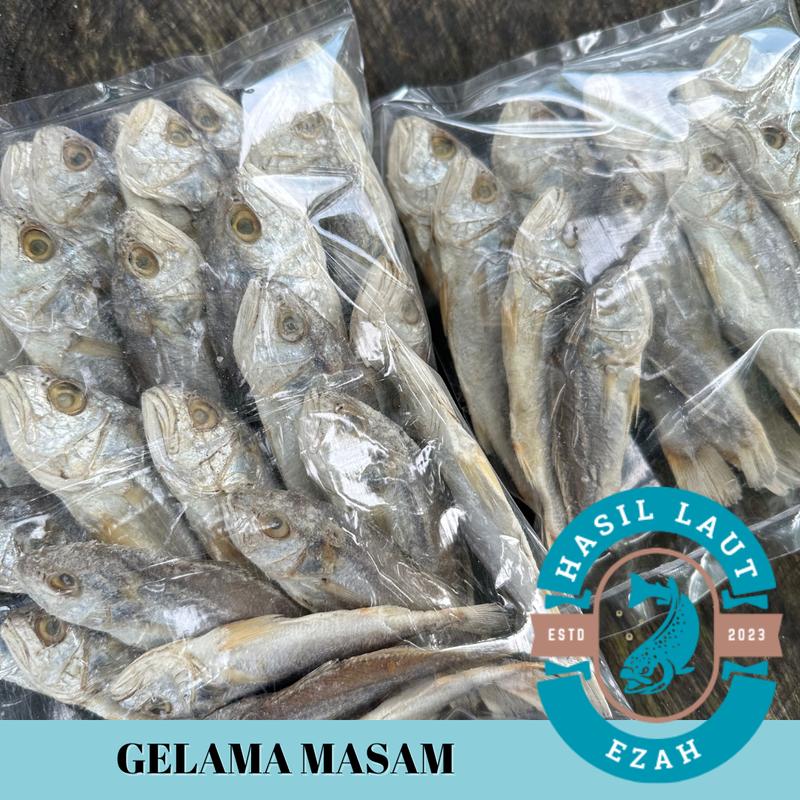 GELAMA MASAM (1KG/500G) DRIED FISH - TikTok Shop Malaysia