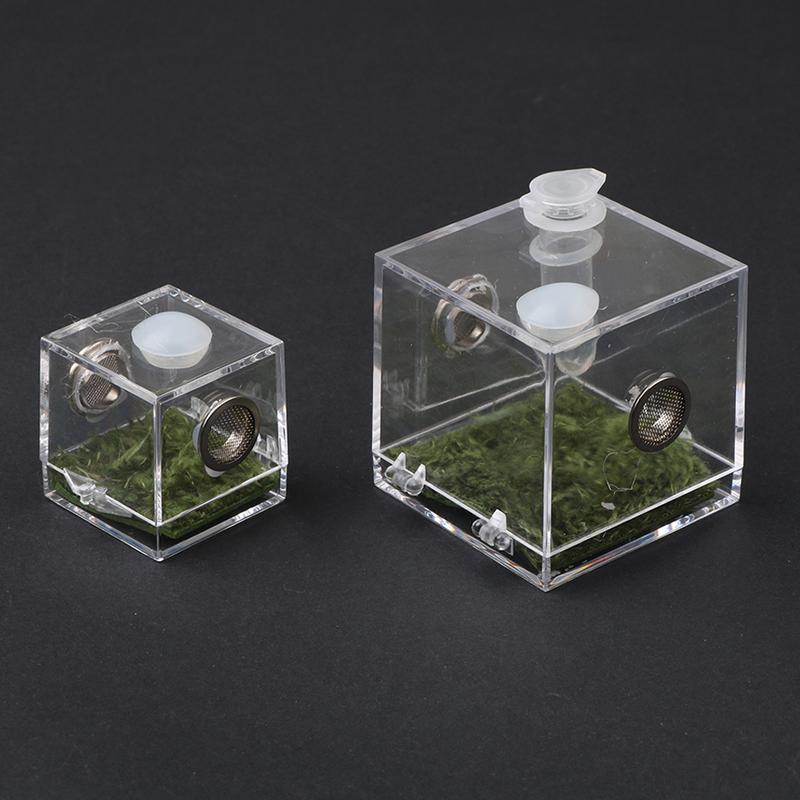 1set Insect Breathable Terrarium Ant Farm Water Feeder Black - TikTok ...