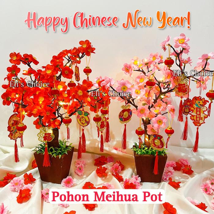 Jual [UKURAN LENGKAP] POHON BUNGA MEIHWA POT SINCIA / BUNGA SAKURA ...