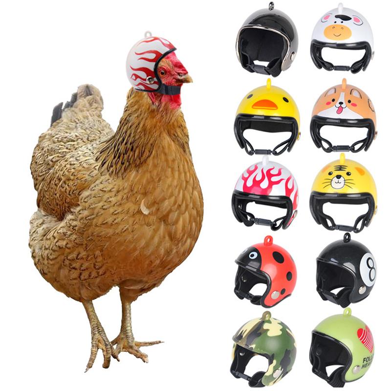 Funny Chicken Helmet Small Bird Duck Quail Hard Hat Headgear - TikTok ...
