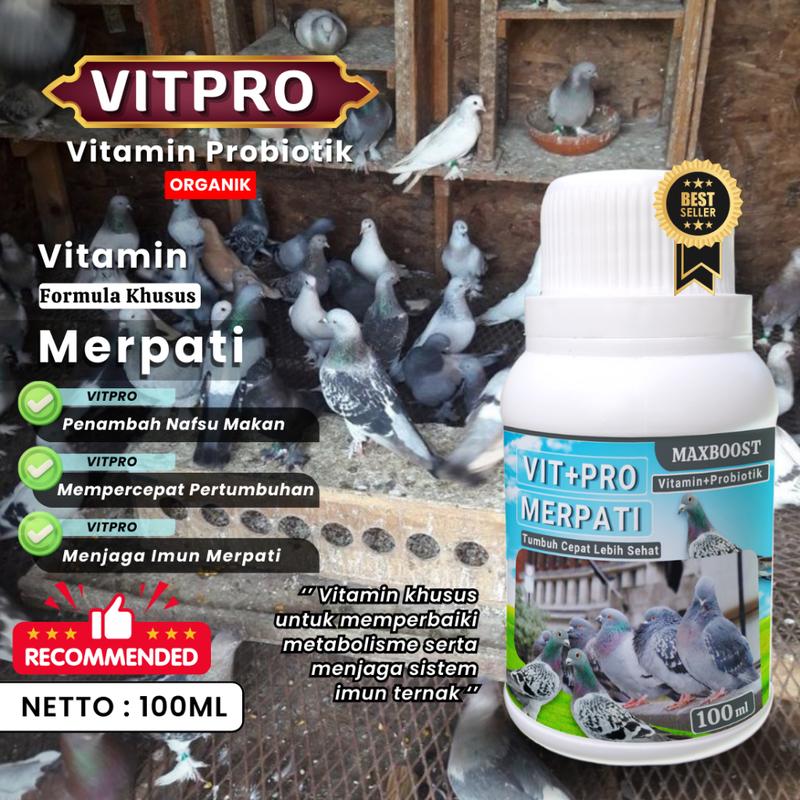 VIT+PRO Vitamin Burung Agar Cepat Bertelur Obat Betina Anti Macet ...