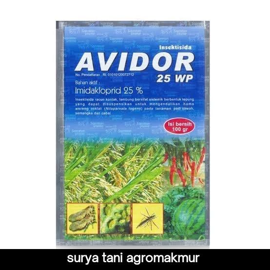 INSEKTISIDA AVIDOR 25WP 100GR OBAT HAMA - Shop | Tokopedia