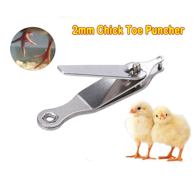 Animal Experimental Ear Punch Stainless steel Silver Mouse Ear - TikTok ...