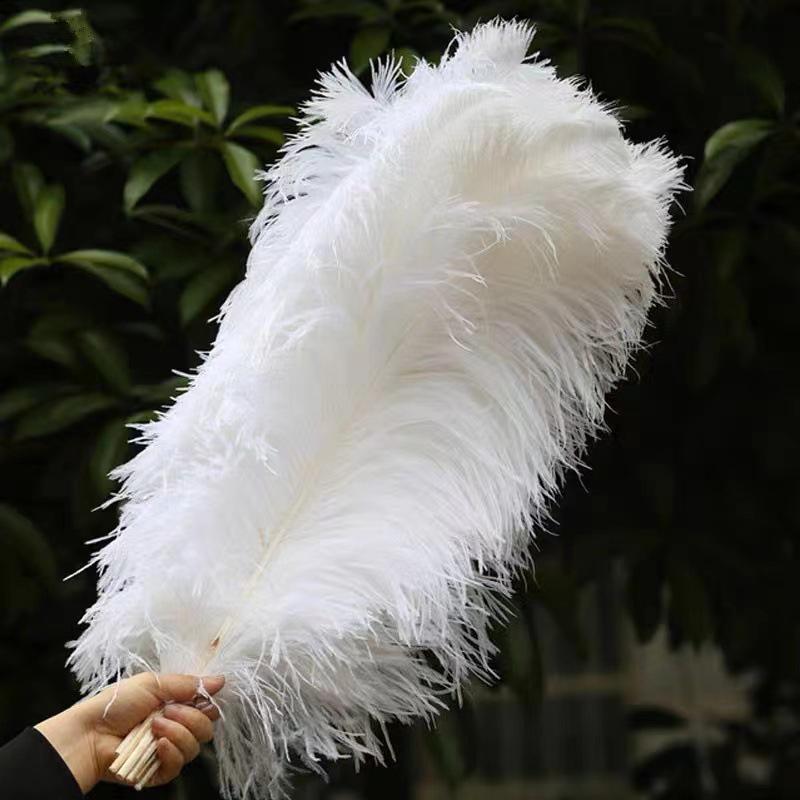 1Pc White Feathers For Crafts 25-50CM Wedding Party DIY Decoration ...