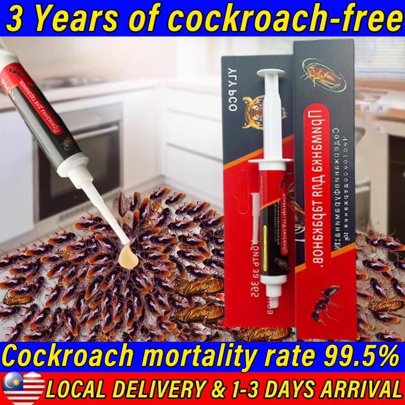 3 Years of cockroach-free Cockroaches killer Cockroach bait - TikTok ...