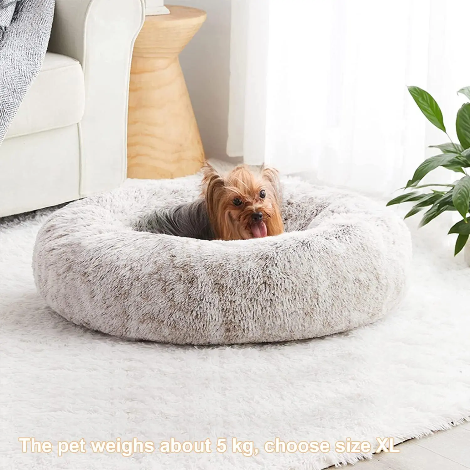 Gradient Cozy Plush Pet Bed with Non Slip Bottom Design, 1 Piece Warm Long Plush Cushion Bed ...